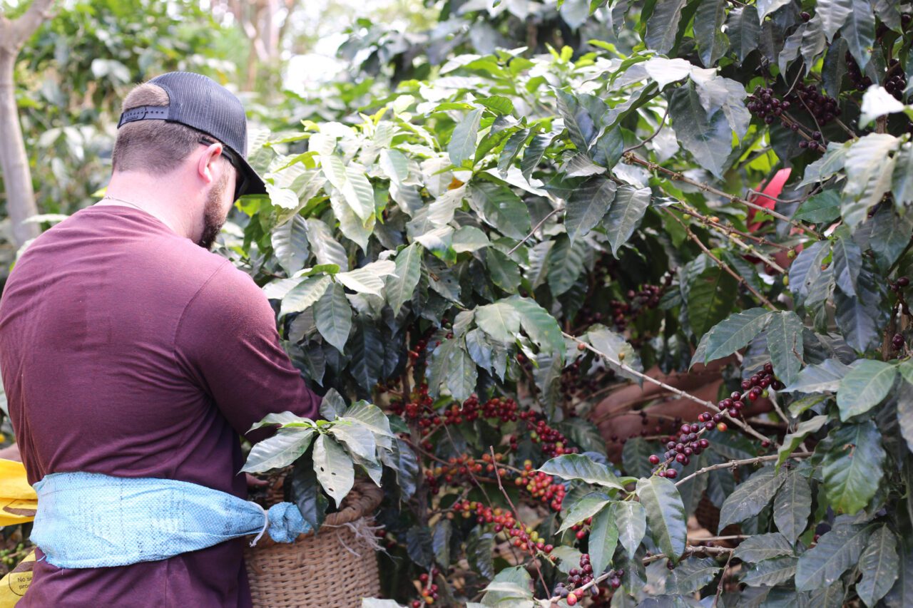 About Us - Day Break Coffee Roasters Fresh Roasted Specialty Coffee in ...